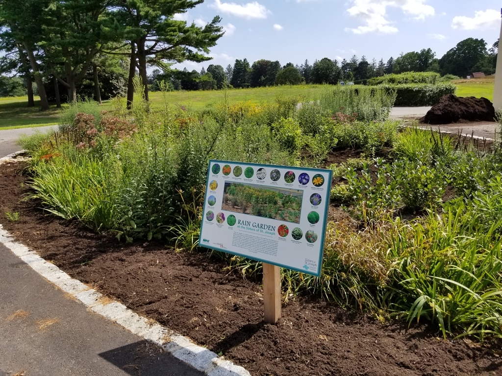 Native Grass, Pollinators and Green Meadows Here on Long Island, a ...